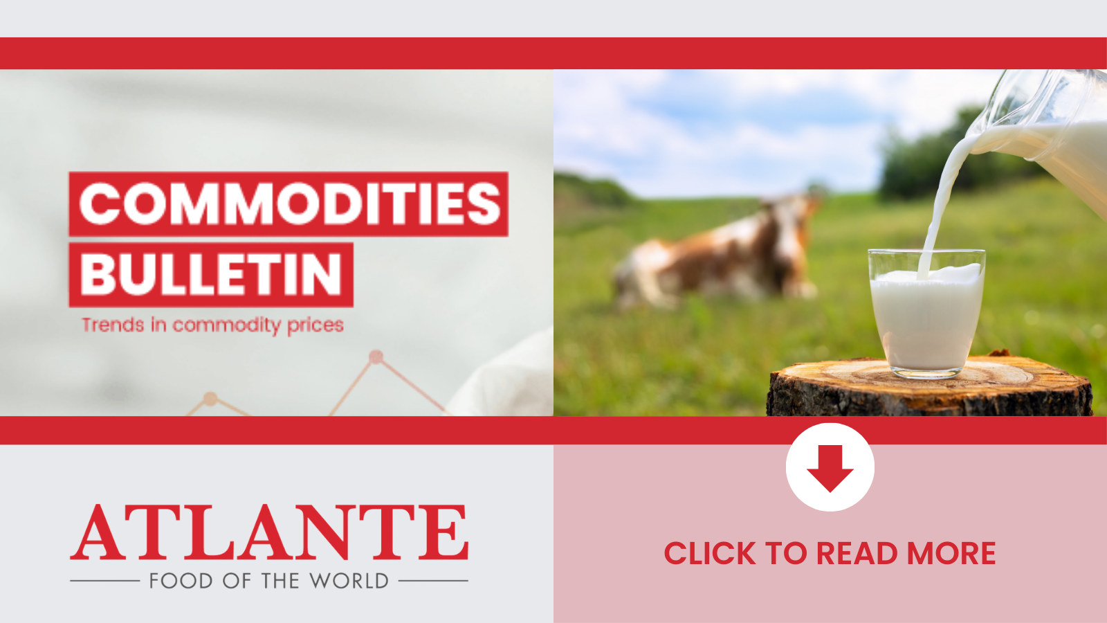 Commodities Bulletin Dairy Milk & Eggs Focus on Milk
